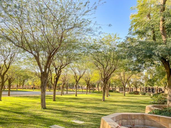 Riyadh Diplomatic Quarter Things To Do and How To Visit